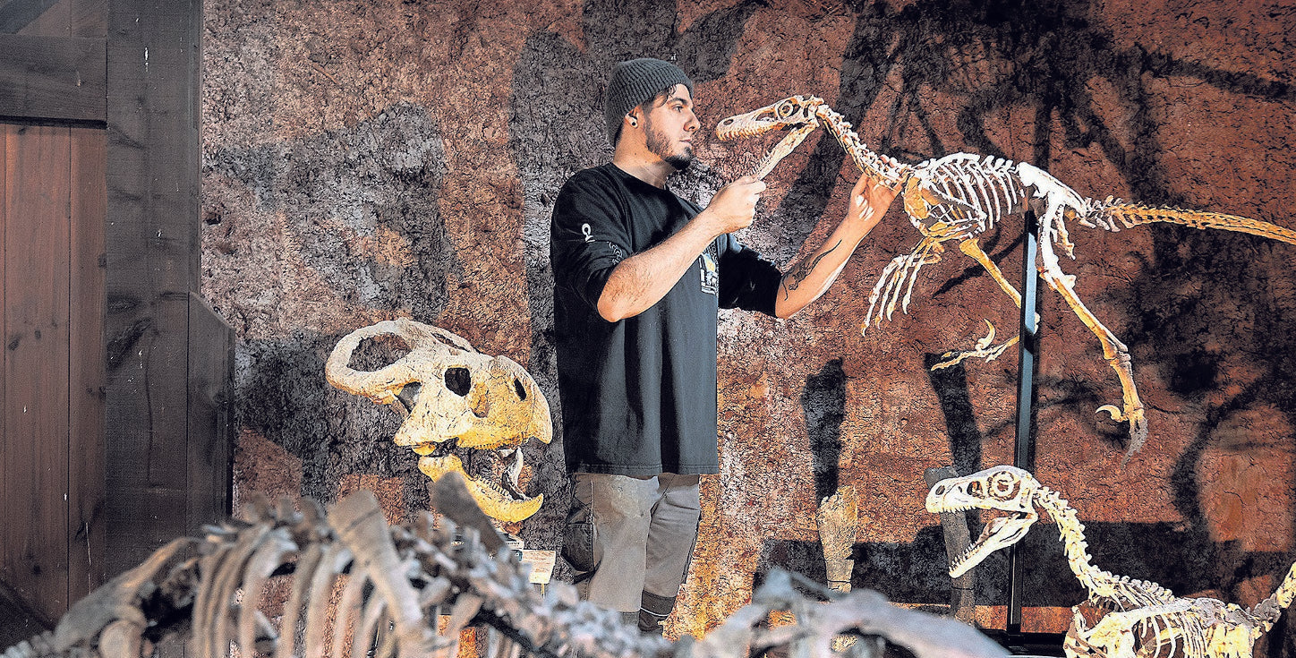 Dinosaur Skeletons – DINOSAUR SKELETONS