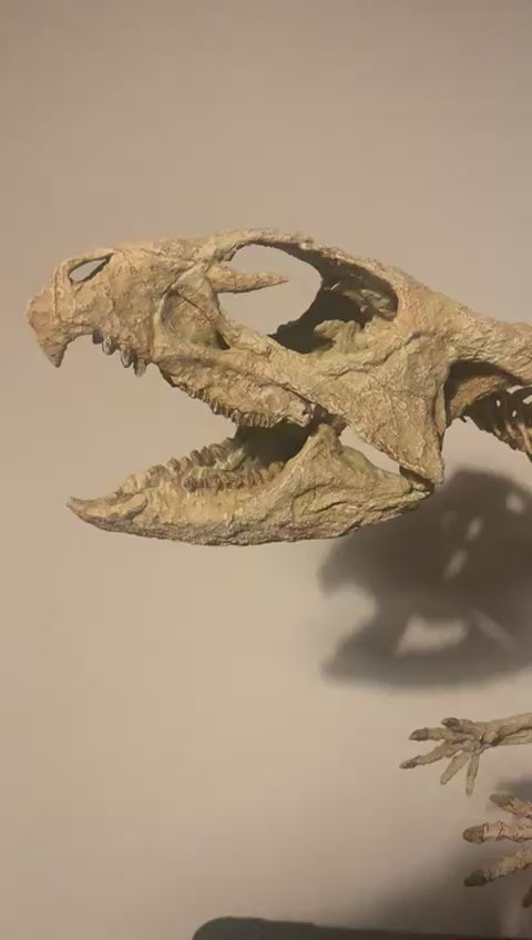 Skulls & Bones – DINOSAUR SKELETONS